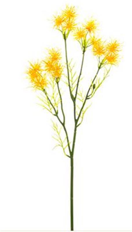 Plantinga Floral and Decor